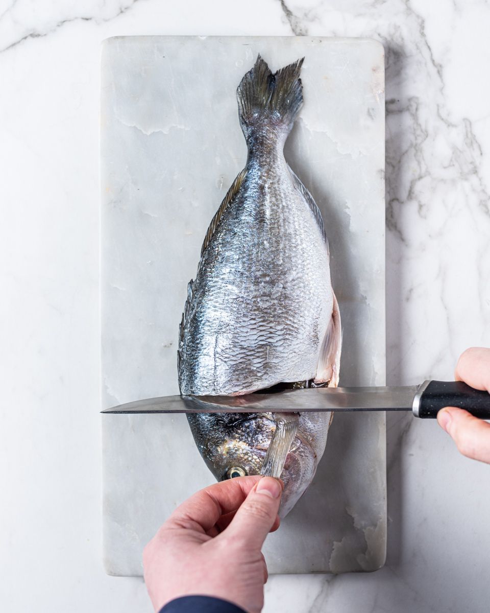 Slik fileterer du rund fisk