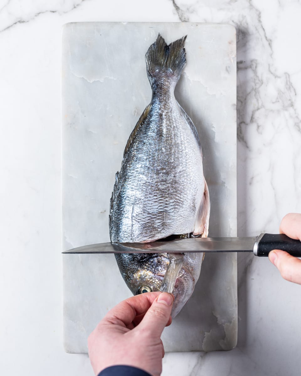 Slik fileterer du rund fisk